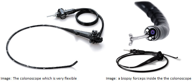 Colonoscopy Camera Size